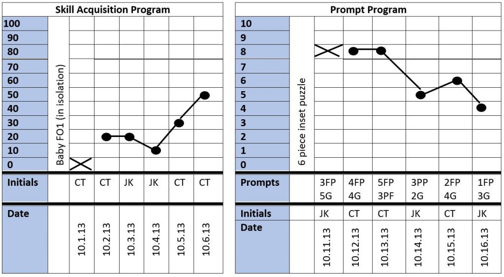 Discrete Trial Instruction