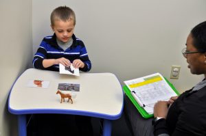 Discrete Trial Instruction