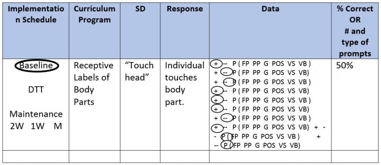 Discrete Trial Instruction