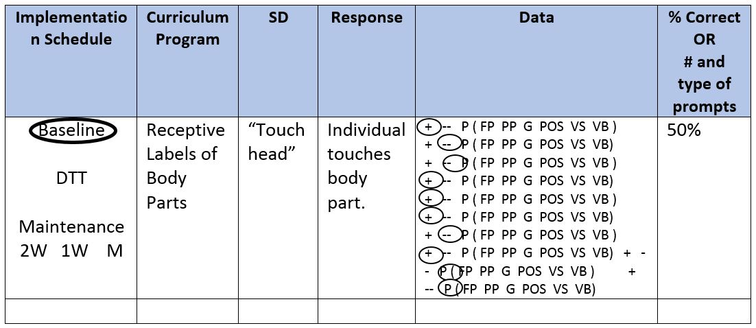 Discrete Trial Instruction