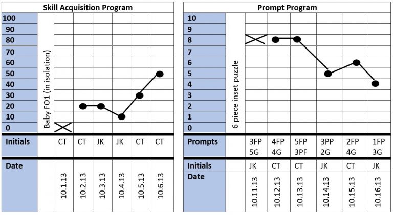 Discrete Trial Instruction