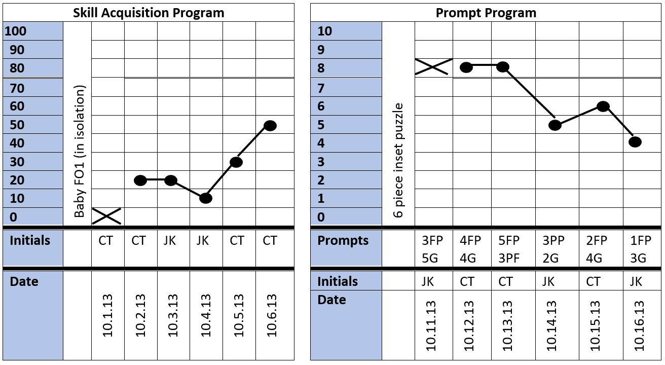 Discrete Trial Instruction